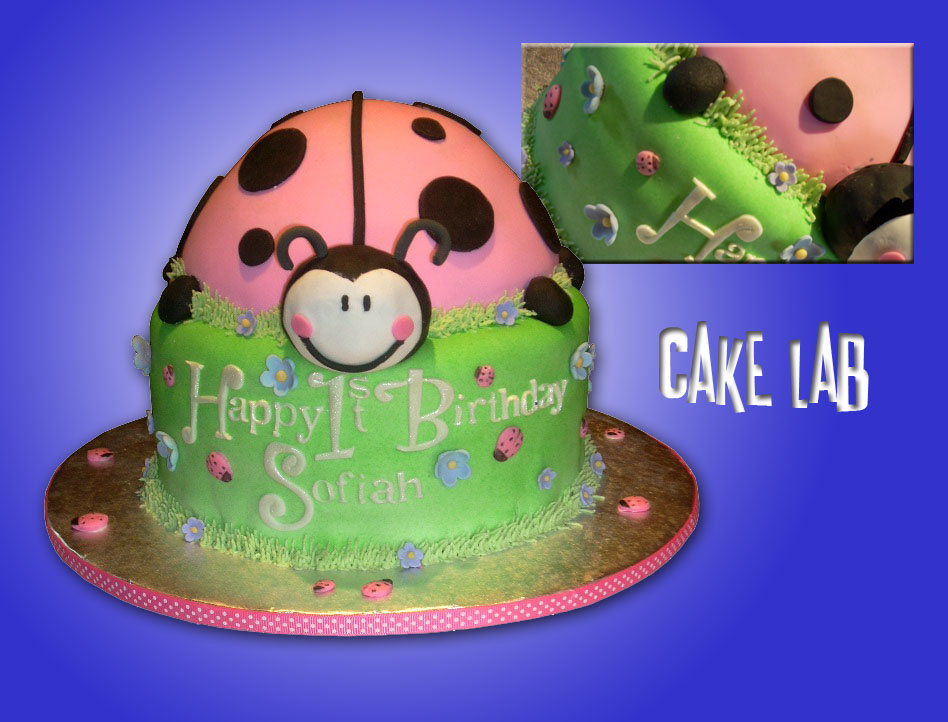 ZacO Cakes: Pink Ladybug 1st Birthday Cake
