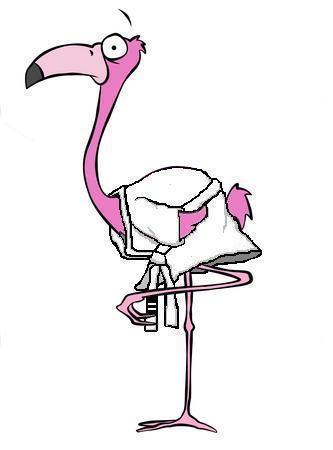 Fat Flamingo Jiu Jitsu