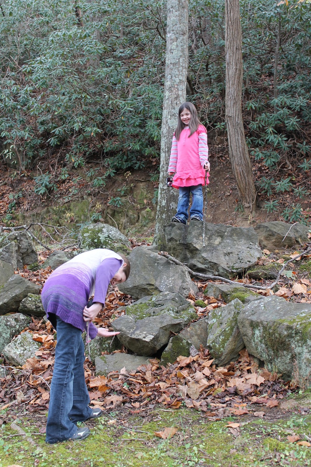 Hoorahoopti Away: Bob White Covered Bridge - Woolwine, VA