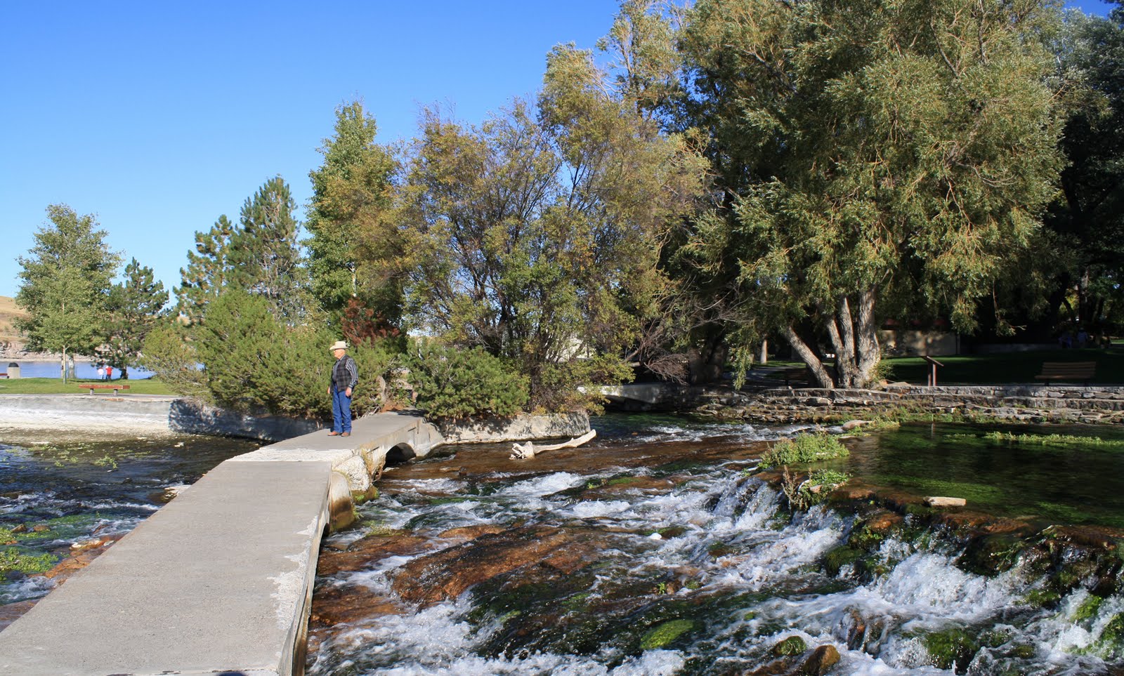 Living and Dyeing Under the Big Sky: Giant Springs, Great Falls, MT