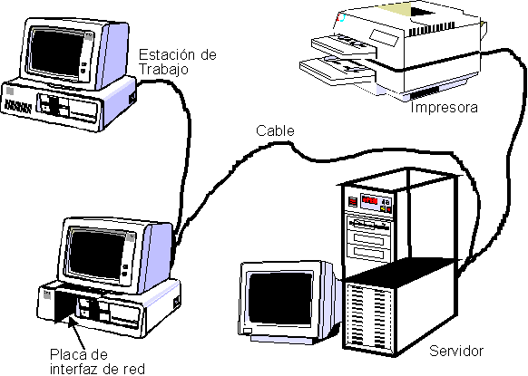 Modulo 5: Componentes basicos de una red