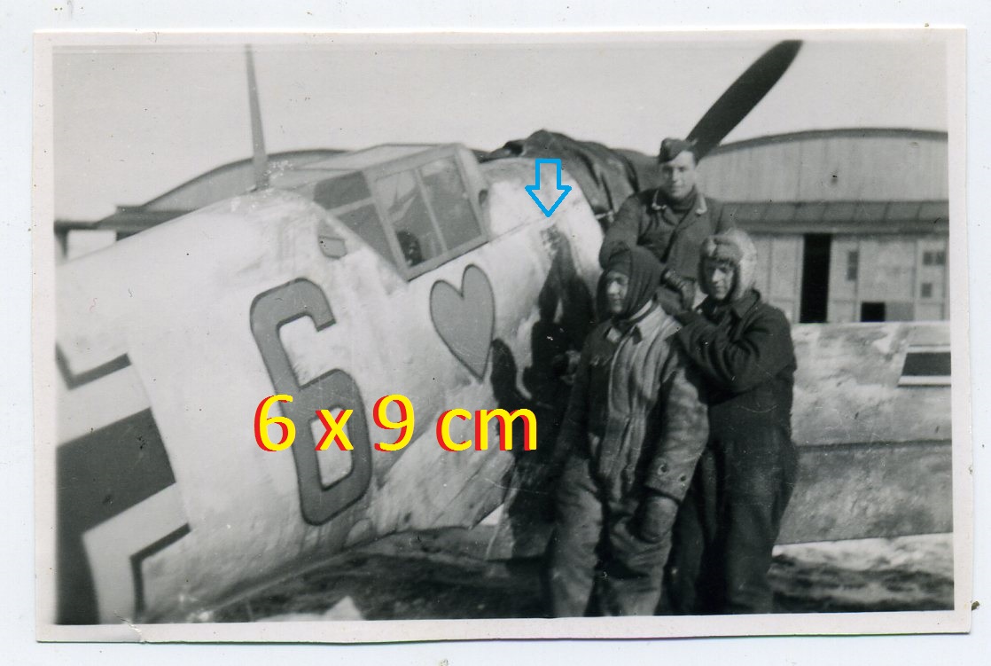 FalkeEins - the Luftwaffe blog: II./JG 54 Friedrich snakeskin Tarn ...