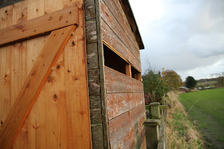 Wilde About Birds: Building My Own Bird Hide