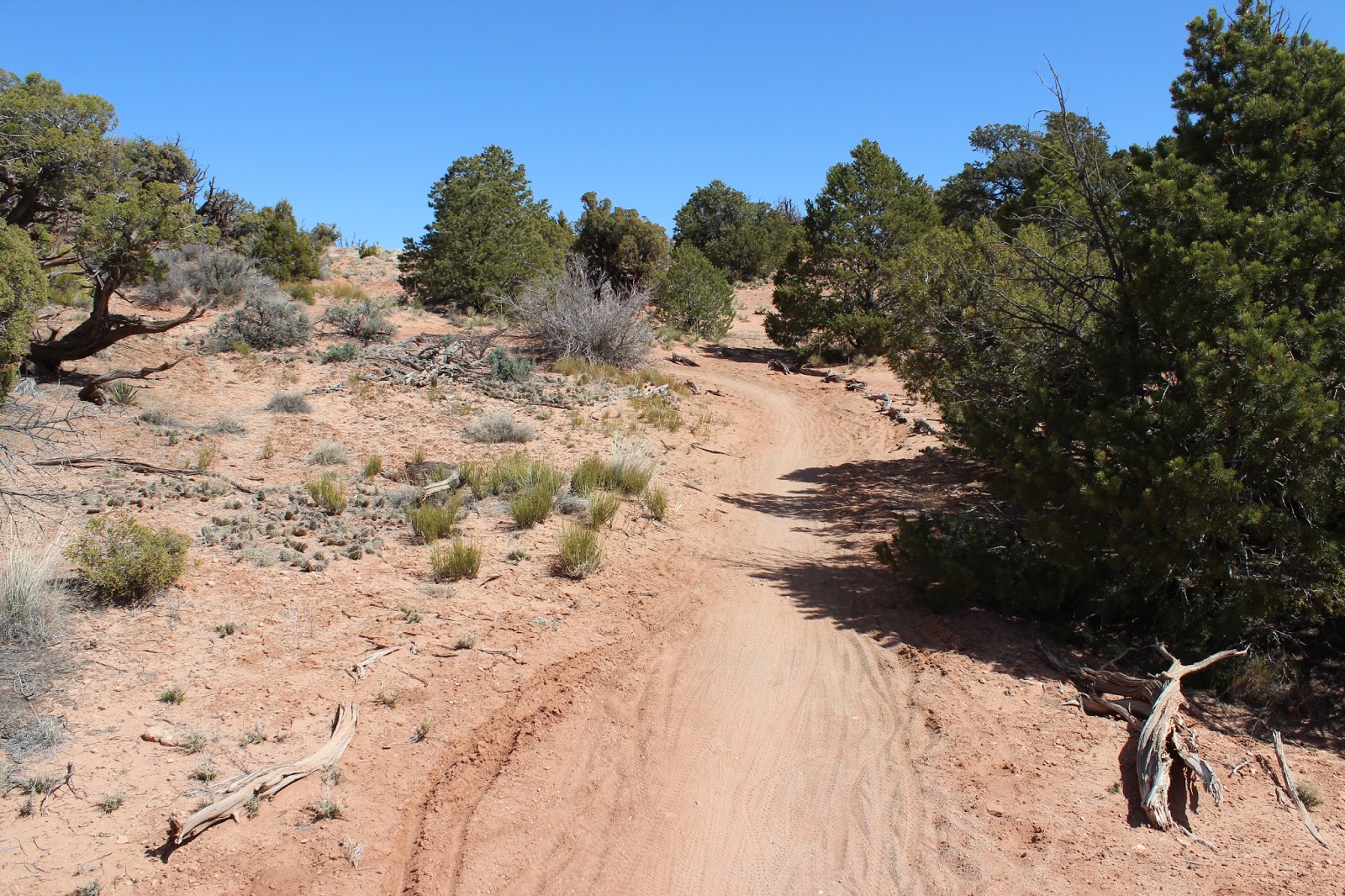 gjhikes.com: Big Chief Loop