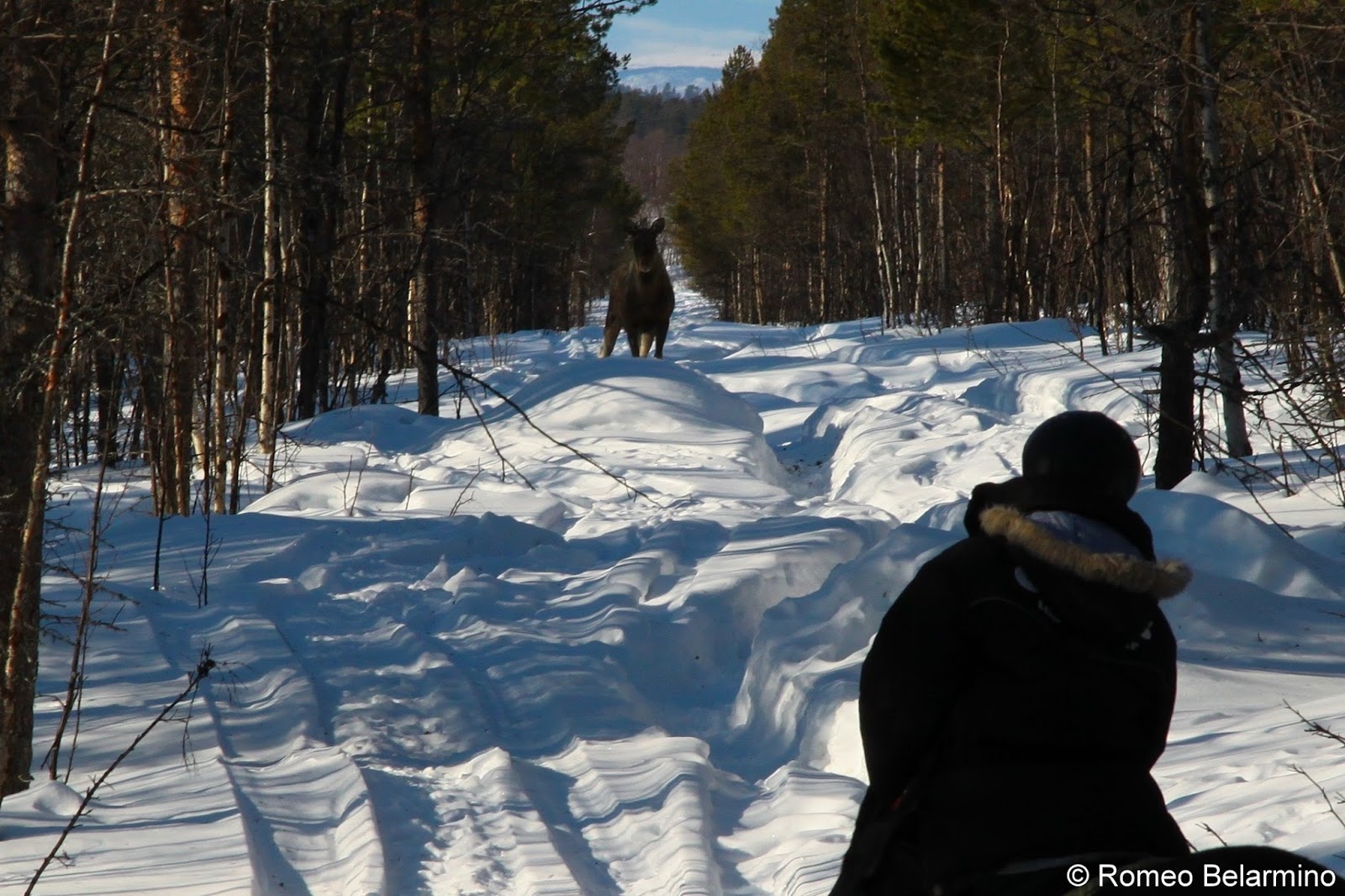 Exciting Outdoor Winter Activities in Sweden’s Lapland | Travel the World