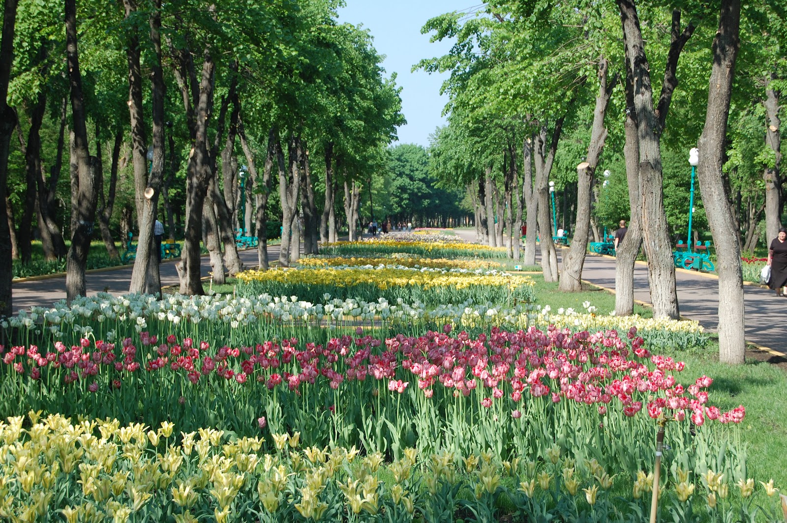 Travelling to Ukraine: Tips and Pictures: Dendropark in Kirovograd ...