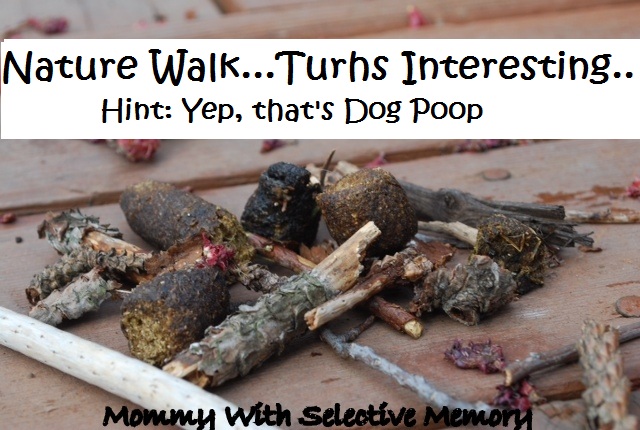 Preschool Activity Ideas | Toddler Activity Ideas | Mommy With ...