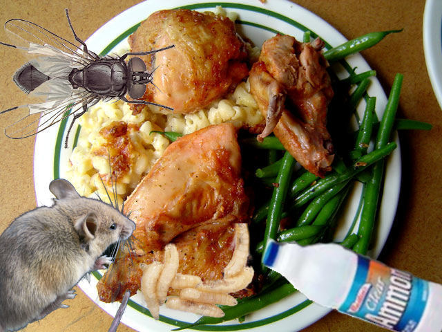 PLANET OF THE CHIMPS #2: FDA Allows Mold, Insects, Rodent Hairs ...