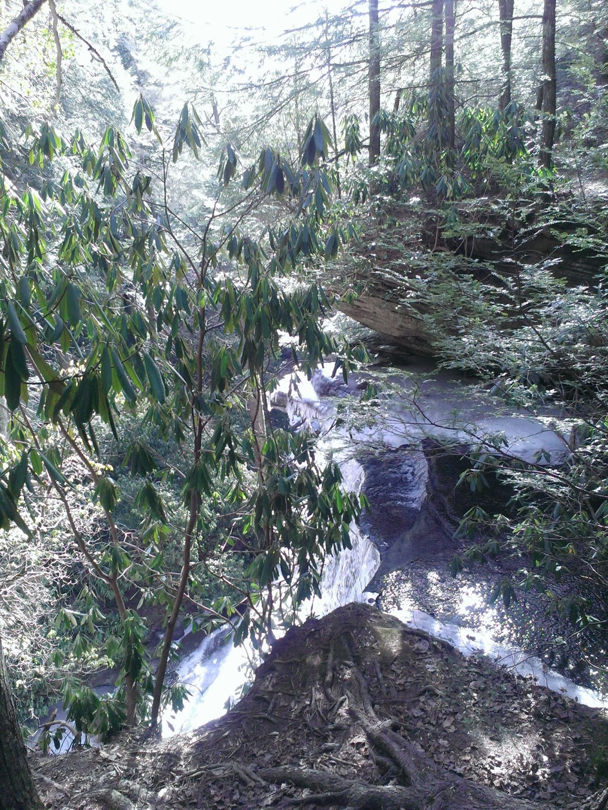 TRAVELING on a BUDGET : Northrup Falls located at Colditz Cove State ...