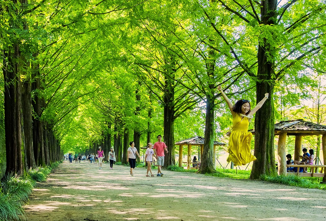 The ClickFreak: Live.Learn.Share: Chuseok Adventure in Jeollanam-do ...