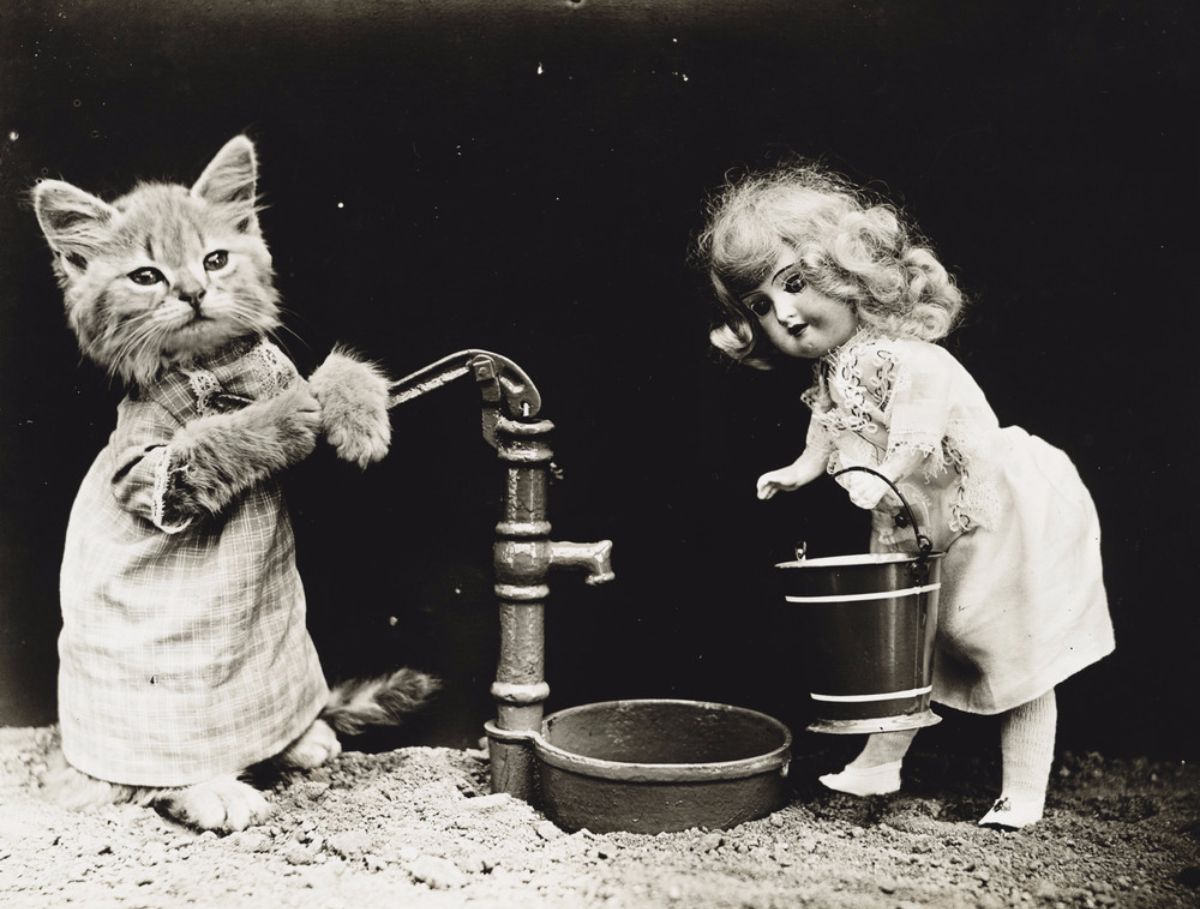 Vintage LOLcats: Adorable Old-Timey Photos of Cats Dressed As People ...