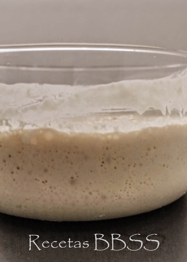 Recetas BBSS: Poolish. Ficha 3