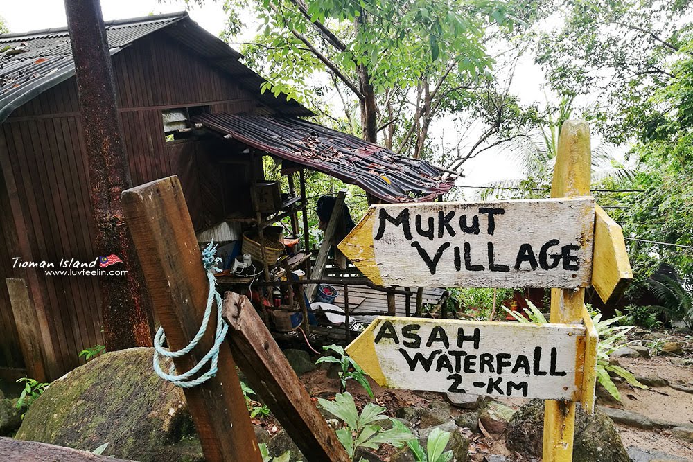 Kampung Asah Waterfall of Tioman Island 徒步刁曼岛寻【甘榜阿沙瀑布】 - 乐飞翎 ♥ LUVFEELIN