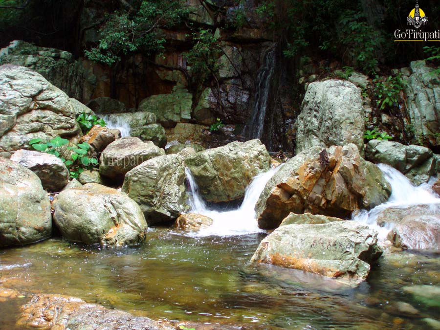 GoTirupati: Ubbalamadugu falls Tada