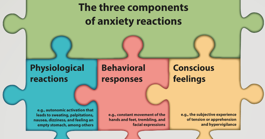 The Components of Anxiety Physiological, Cognitive and Emotional ...