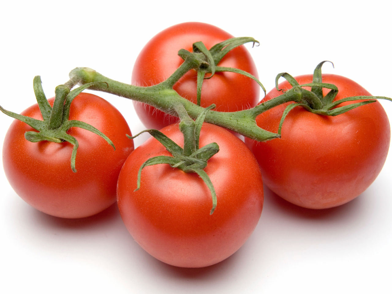 Garbancita® : Cómo cultivar tomates con éxito
