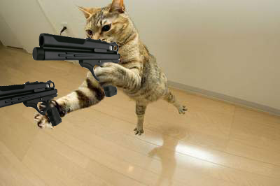 Funny Pictures Quotes Pics Jokes Memes Images Photos Cats Gift Animals ...