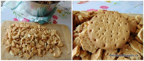 Arrowroot Biscuit Squares