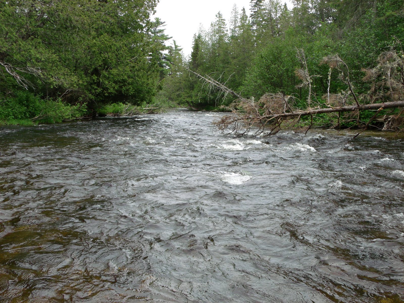Dana and Jess Allagash Trip Journey Begins: Day 2 Allagash Lake to ...
