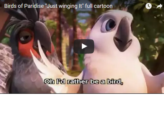 Birds of Paridise "Just winging It" full cartoon ~ Disigner Handsome