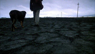 cine-seriefilo: Amores Perros. Tres historias, un accidente y la nueva ...