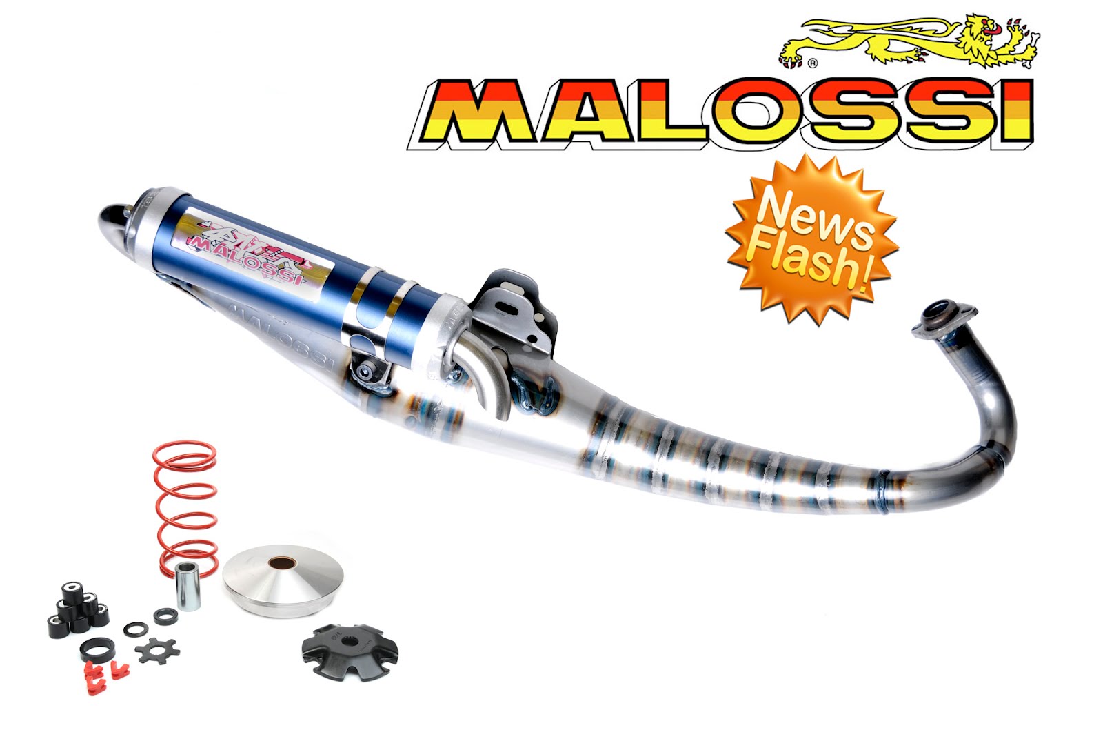 VE Scooter Spares: Malossi - The Art Of Performance