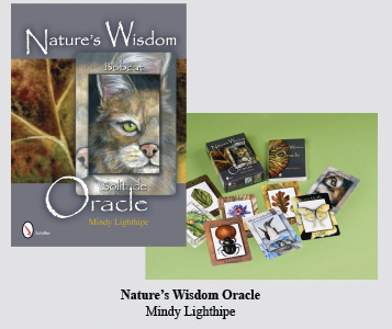 Oracle Cards - Nature's Wisdom by Artist/author Mindy Lighthipe ...