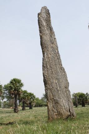 Tamilnadu Tourism: Kodumanal Archeological Site