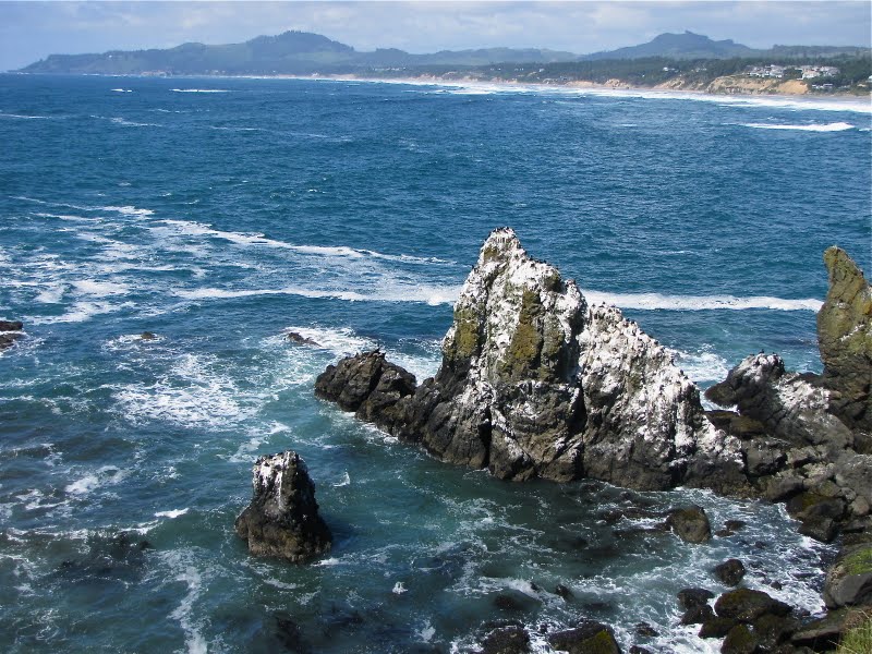 Where's Eldo?: Yaquina Head LIghthouse and Tide Pools