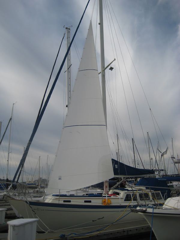 The Circe Chronicles: Solent Stay