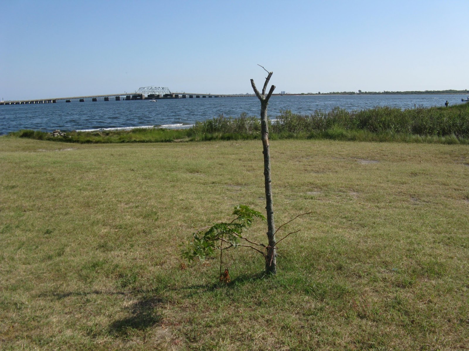 Queens Crap: Charles Park needs some NPS love