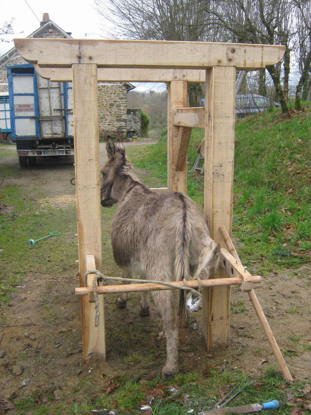 les ânes du gîte: un travail spécialement conçu pour les ânes