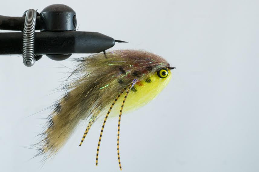 The Fiberglass Manifesto: FLY GEEK - BENNETT'S LUNCH MONEY