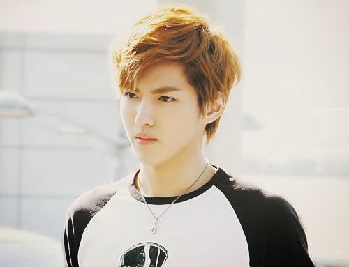 E.X.O (xoxo): EXO KRIS'S PROFILE