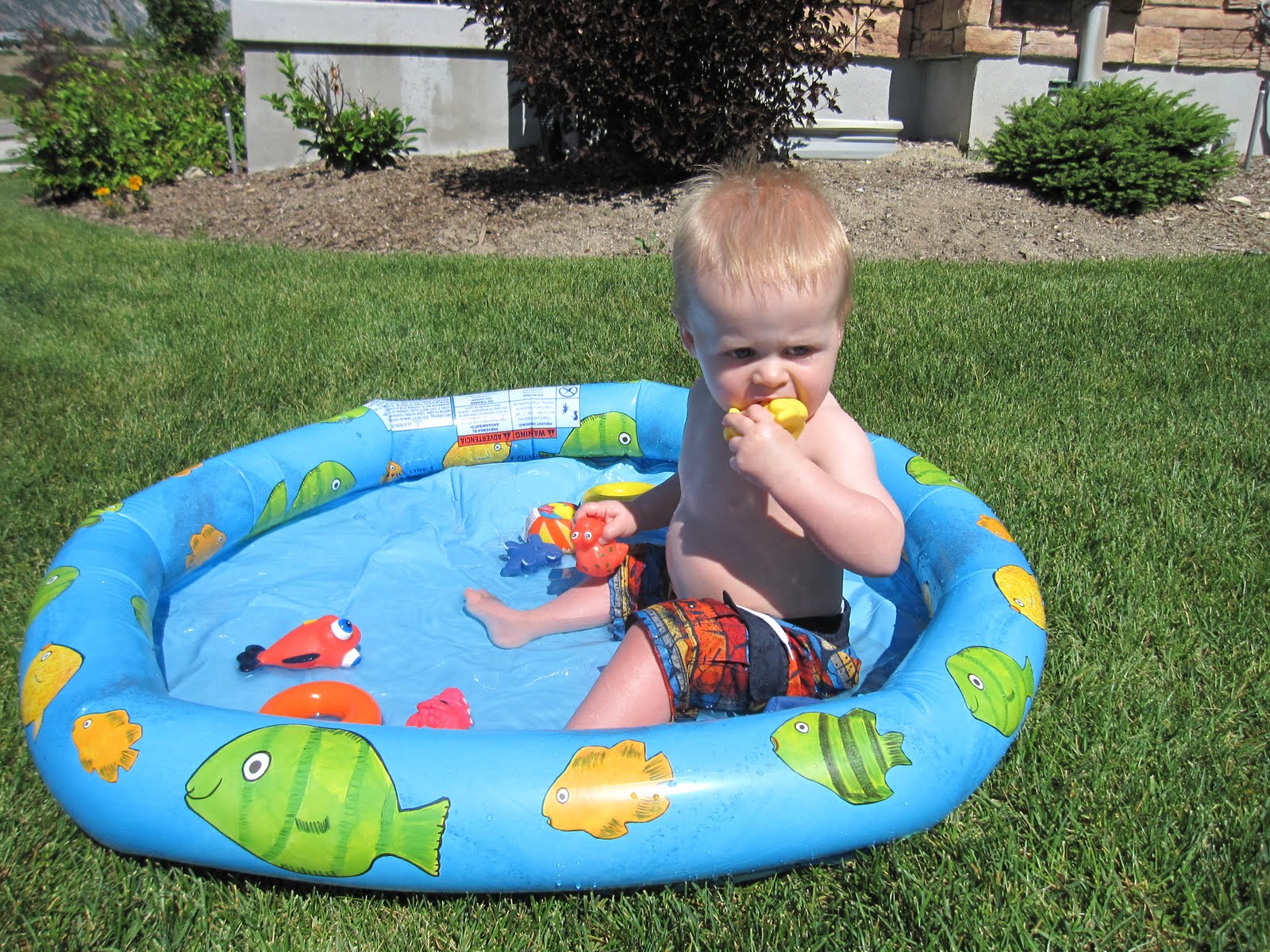 Reynolds Family: Swim time