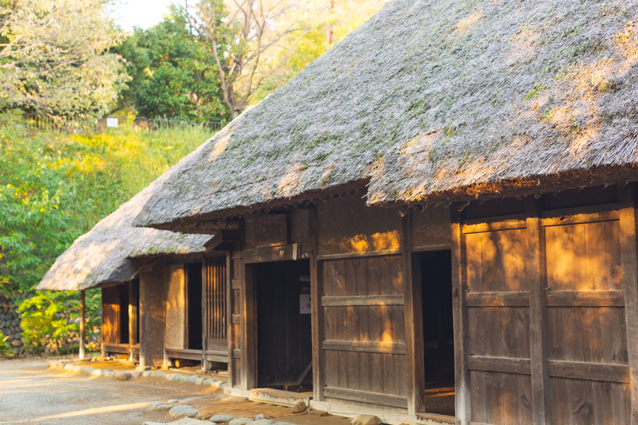 Старые японские дома - Yulia Lisitsa