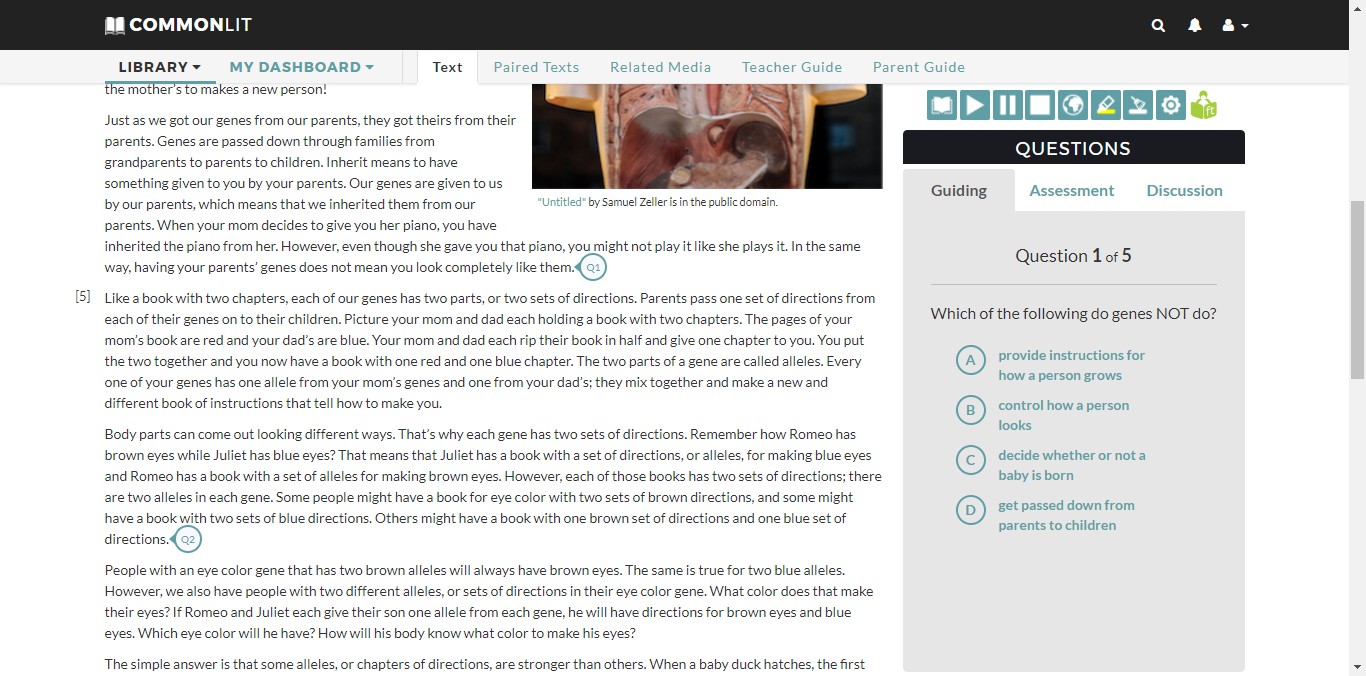 Guiff's Goodies: FREE Literacy Tools - Reading Comprehension and ...