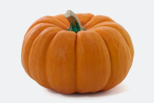 El poder del Zapallo: El zapallo