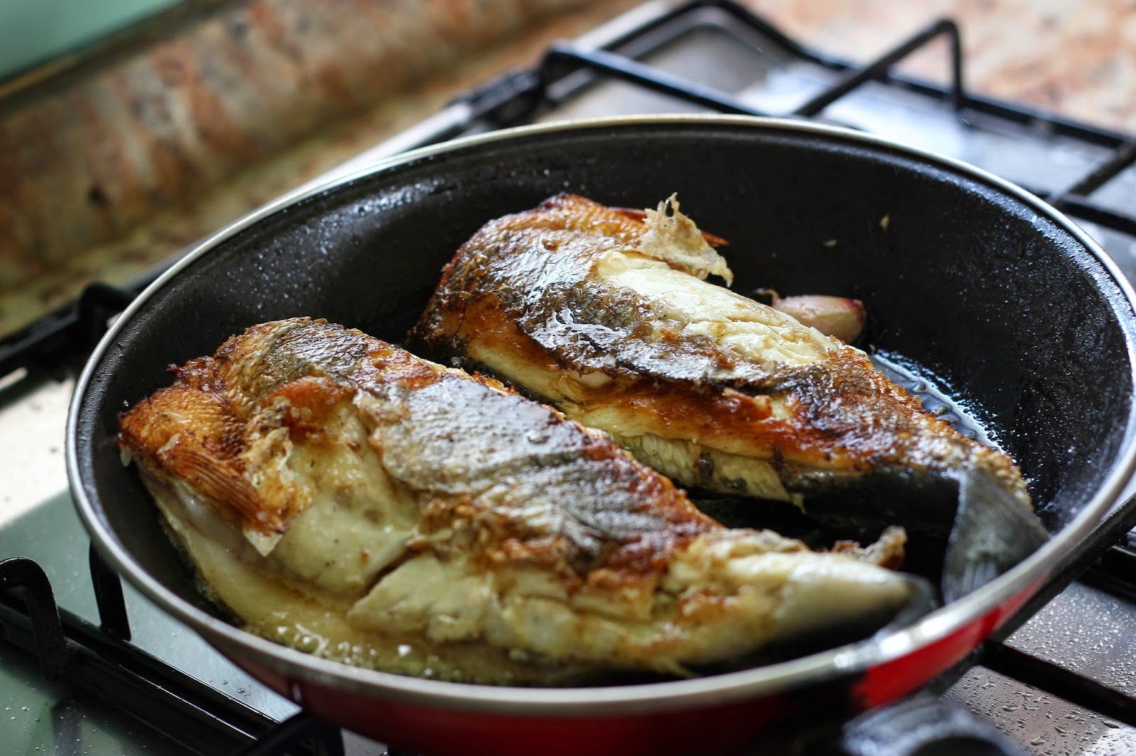 Zeebaars - Dishcover