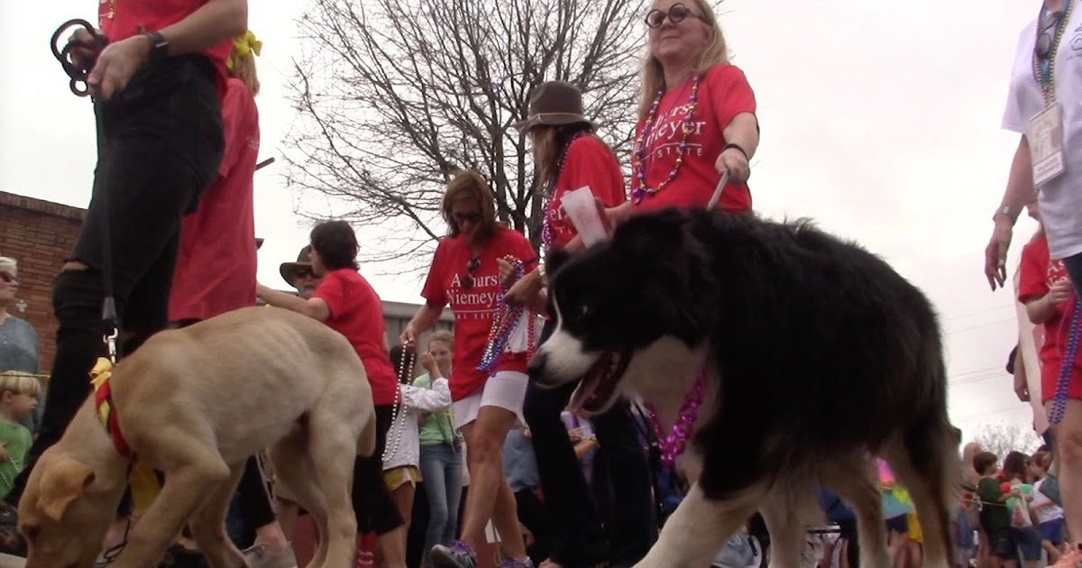 Dogs Parade Through Downtown Streets