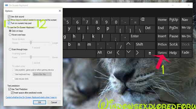 Logeshwaran.org: How to Enable Numlock in Laptops Easily (Windows 10)