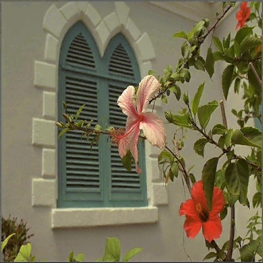 Richard Geldreich's Blog: Basis universal GPU texture format examples