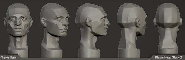 Zketch: Planar Head Study 2