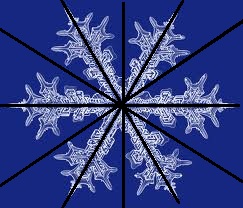 Geometry in Nature: Symmetry in Nature