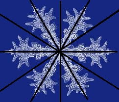 Geometry in Nature: Symmetry in Nature