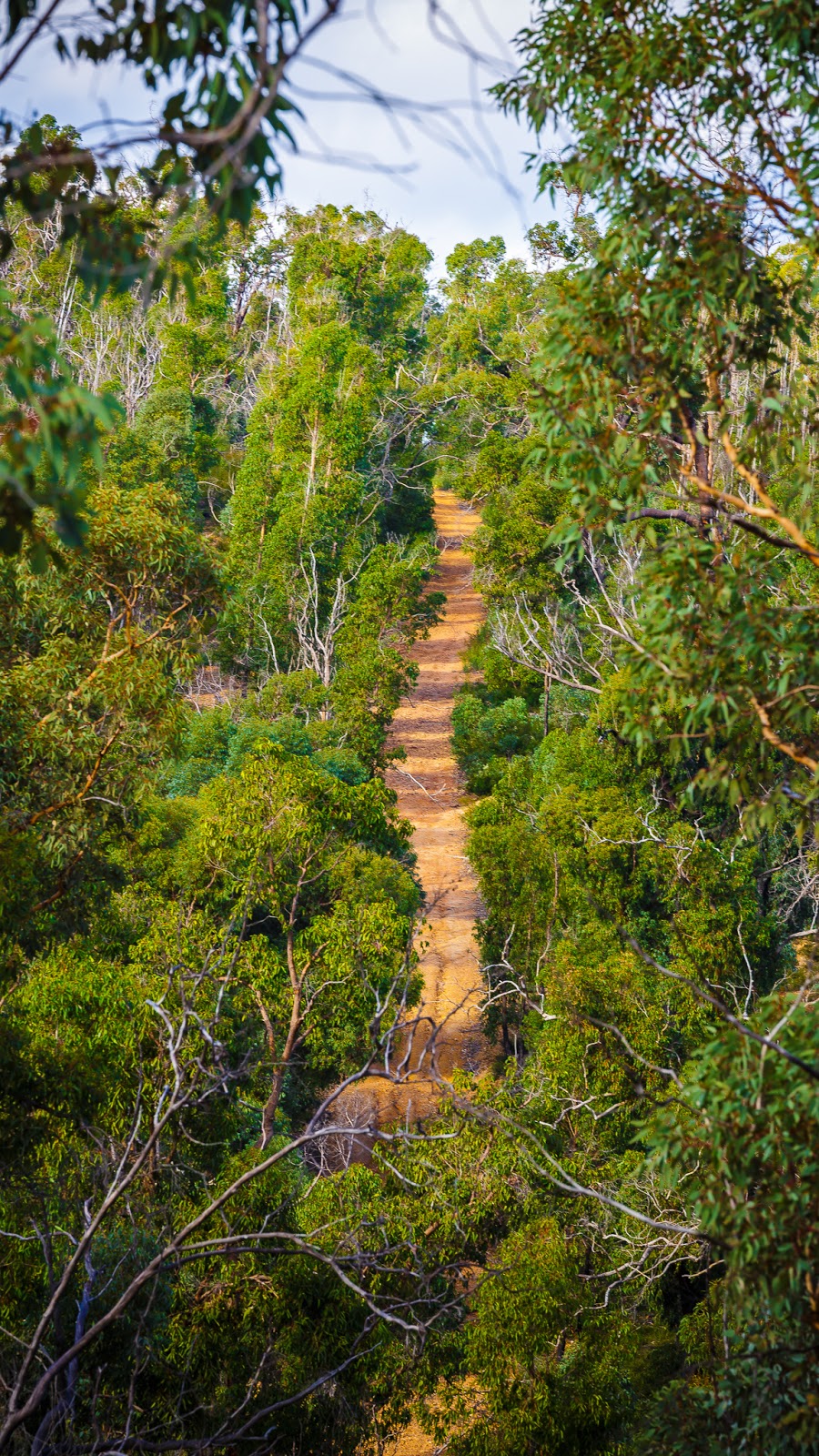 Random Lights Photography: The Eagle View Walk, John Forrest National Park