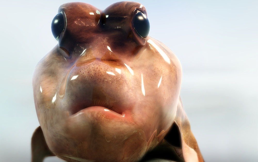 3D ON DEMAND: MUDFISH