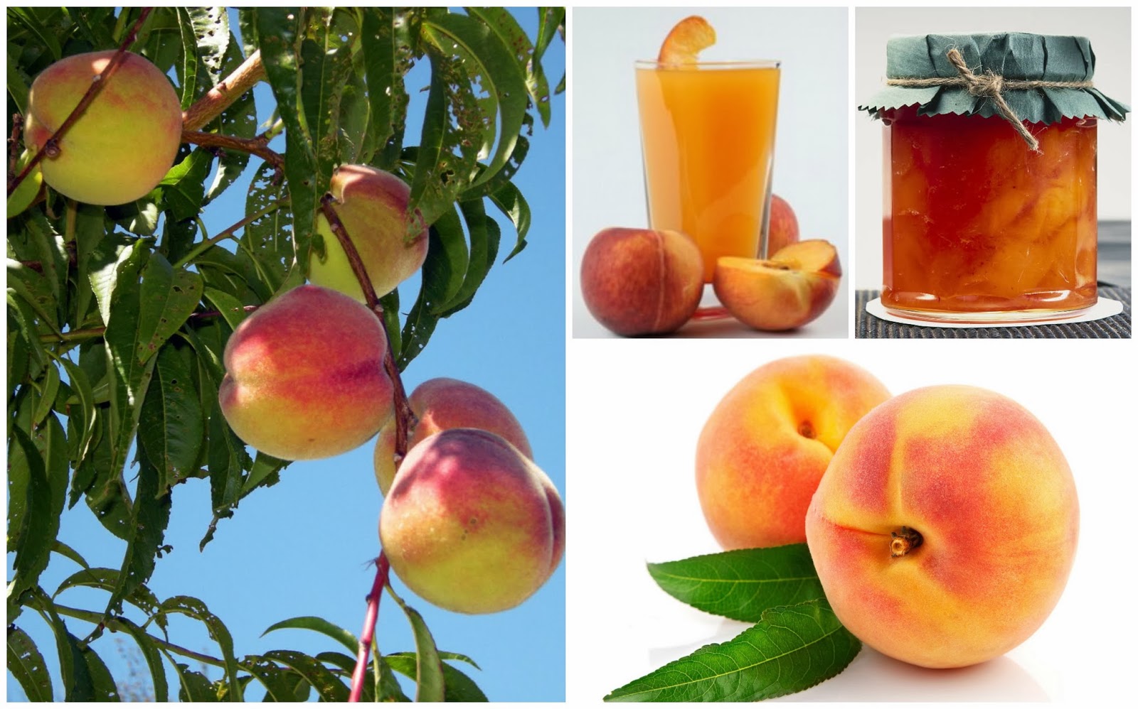 EL DURAZNO, SABROSO Y BUENO PARA LA SALUD : FRUTAS VERDURAS BENEFICIOS ...