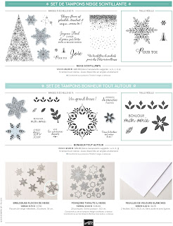 Coccinellenellescrap.blogspot.fr: Vitrine de flocons