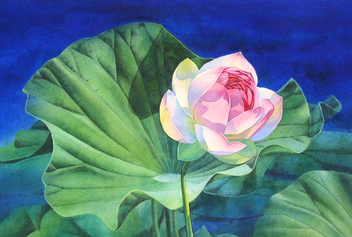 Barbara Fox, 1956 | Watercolor painter | Tutt'Art@ | Pittura * Scultura ...